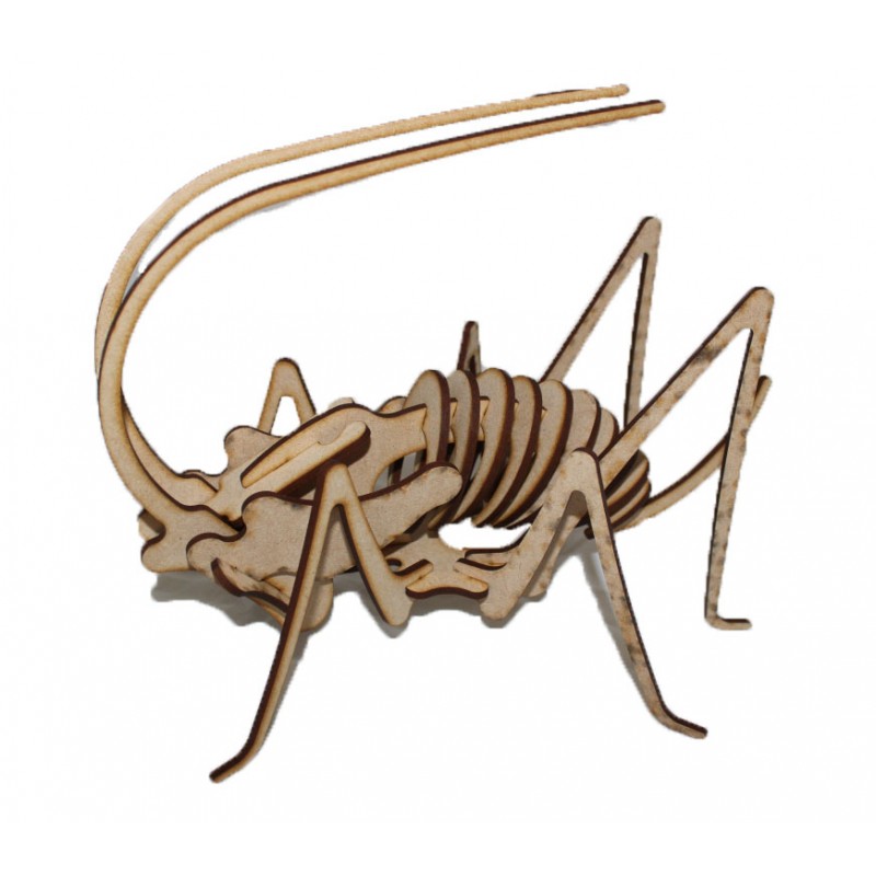 This Cricket Puzzle is manufactured by Xplore Designs in Cape Town