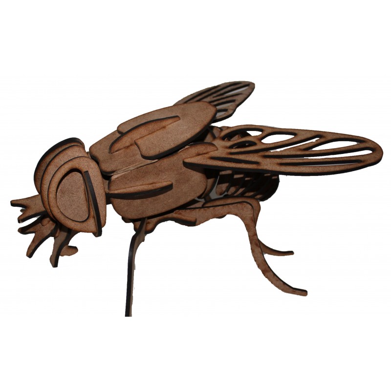 Fly 3D Puzzle is manufactured by Xplore Designs in Cape Town